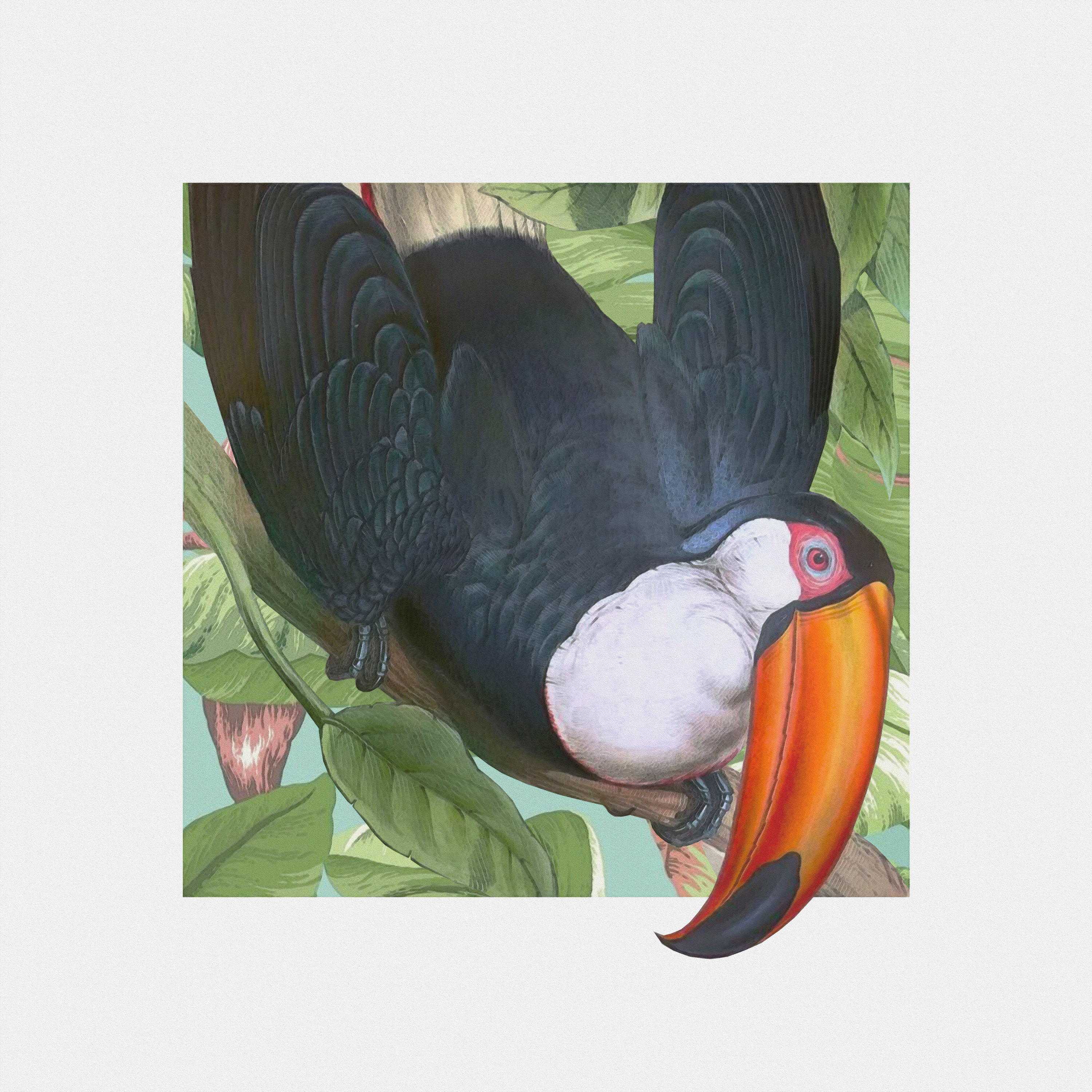 Bay Isle Home™ Toucan Peeking On Canvas by Steve Hunziker Print | Wayfair